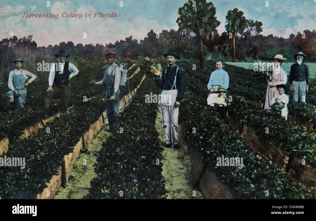 Diese Postkarte ist mehr als ein Jahrhundert alte Menschen in Florida ...