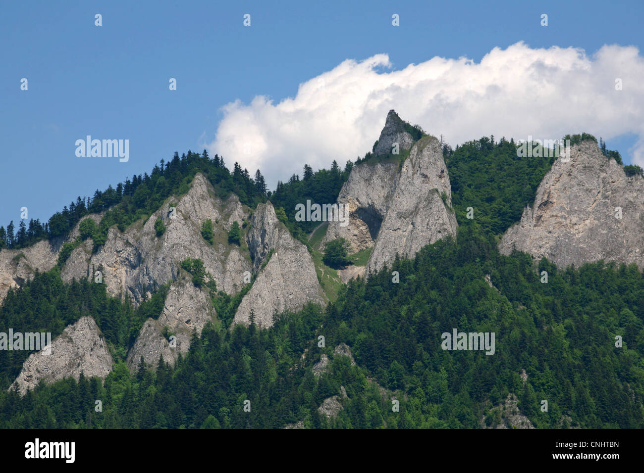 Nationalpark pieninen -Fotos und -Bildmaterial in hoher Auflösung ...