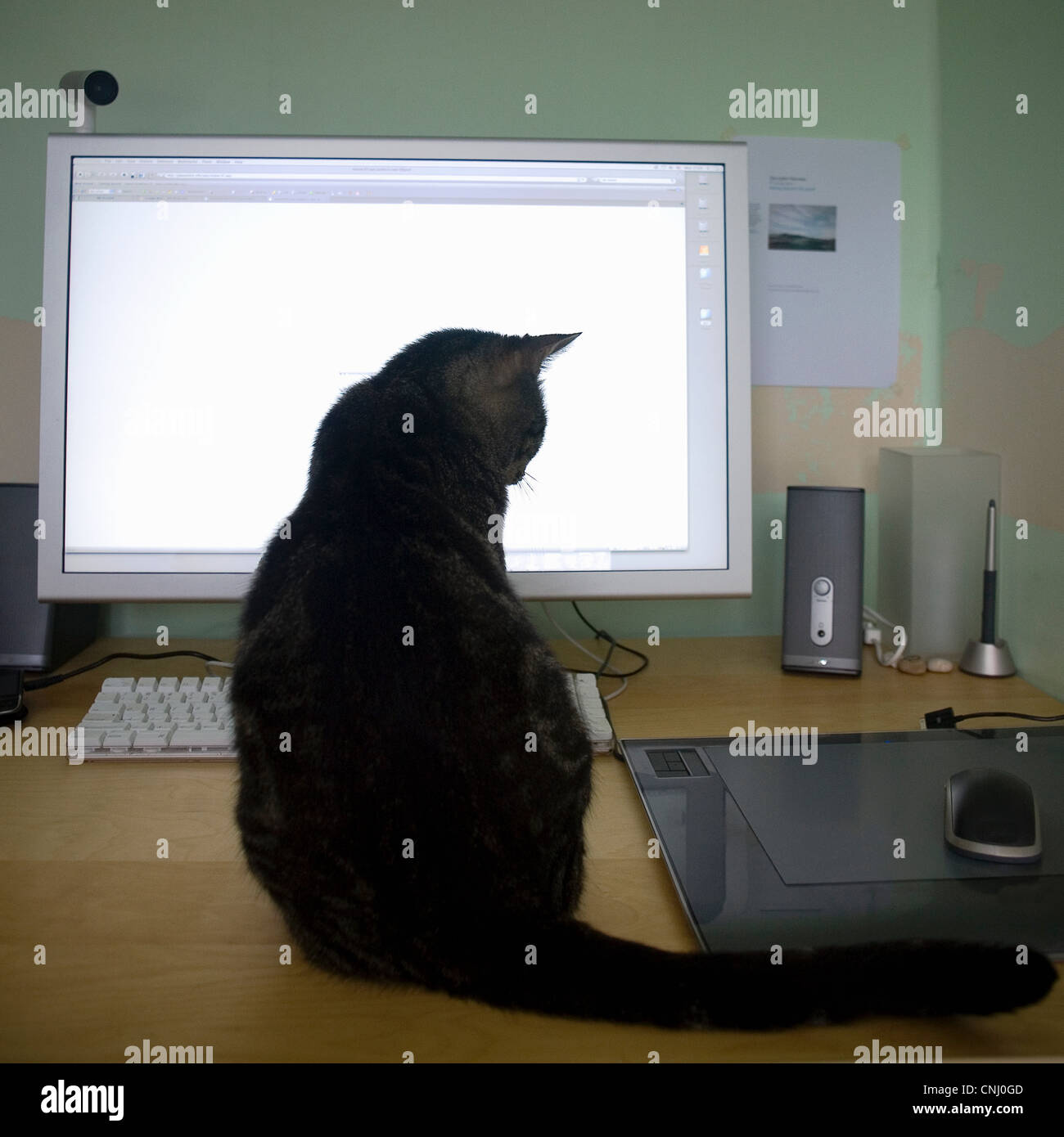 Maus comic -Fotos und -Bildmaterial in hoher Auflösung – Alamy