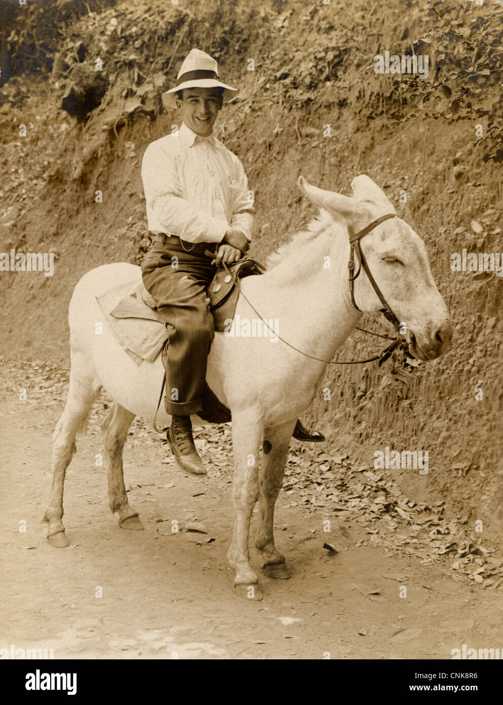 Glücklicher Mann einen weißen Esel reiten Stockfotografie - Alamy