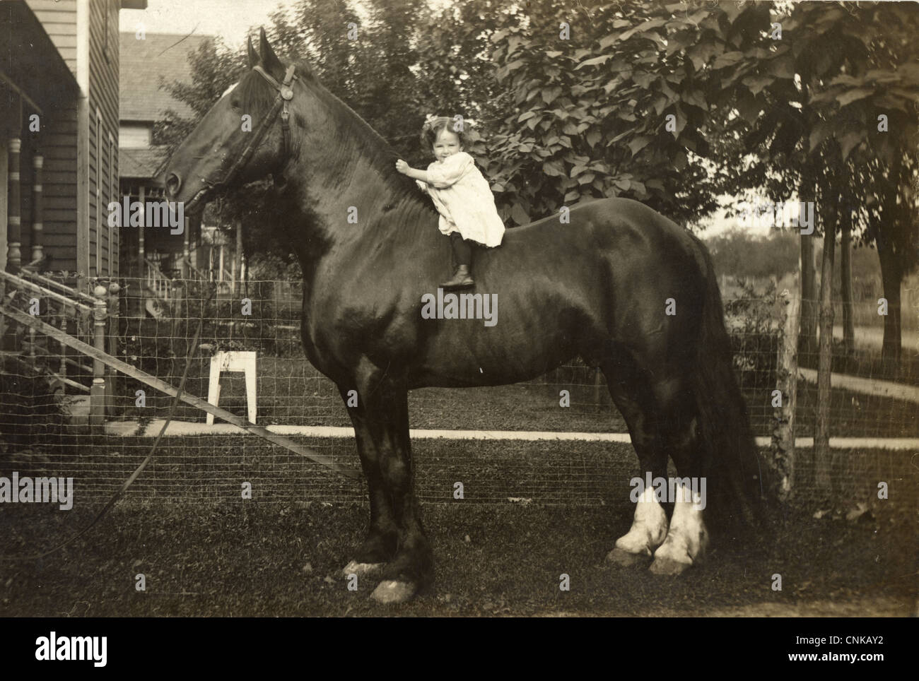 Schwarzes pferd reiten -Fotos und -Bildmaterial in hoher Auflösung – Alamy