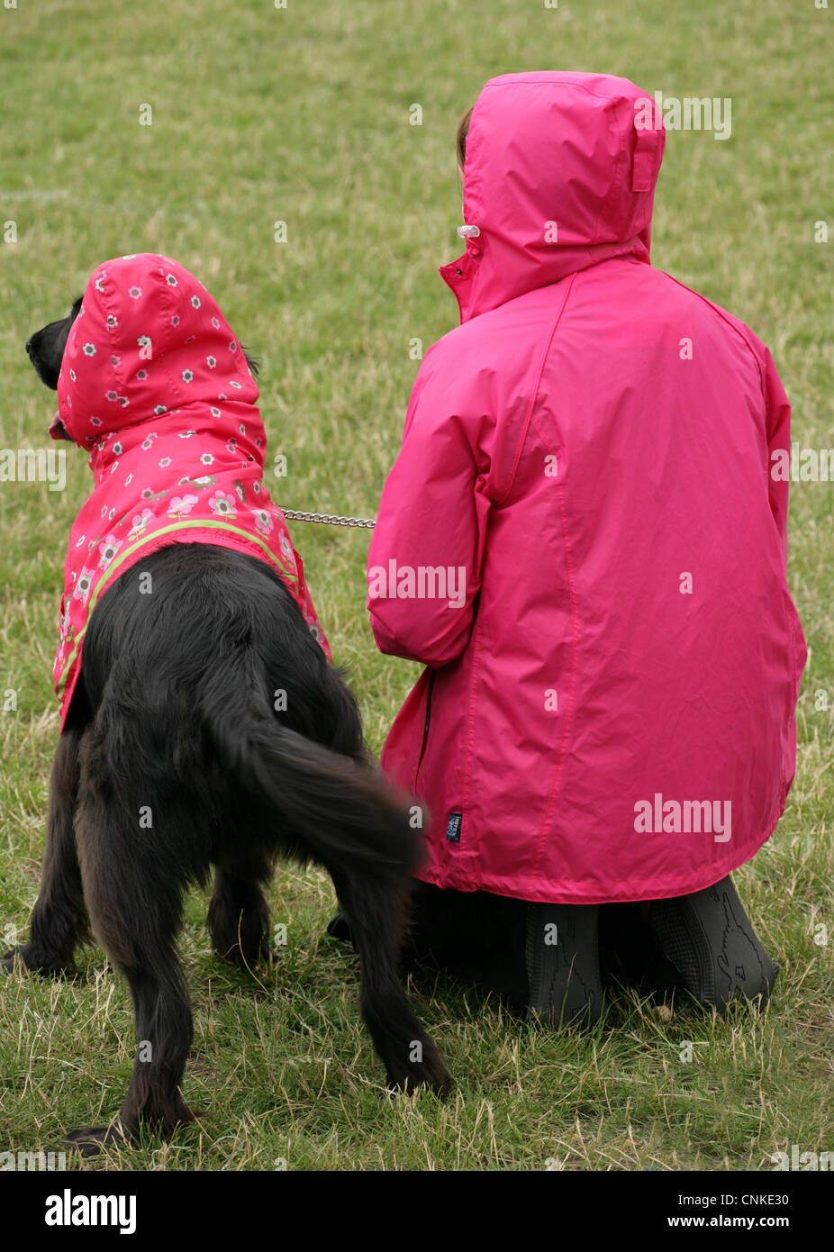 Wie besitzer wie hund -Fotos und -Bildmaterial in hoher Auflösung – Alamy
