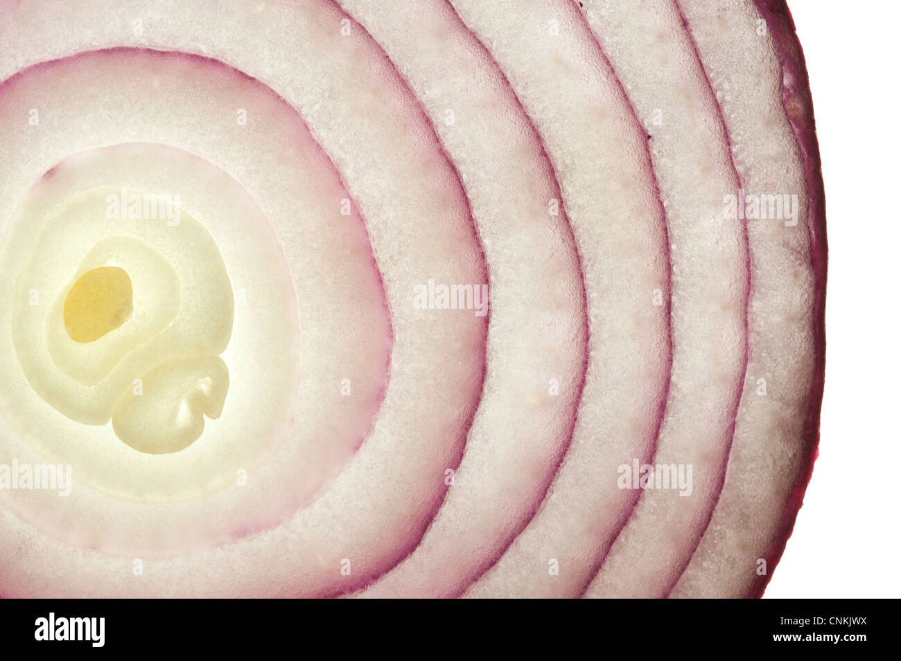 Art Der Zwiebel Stockfotos und -bilder Kaufen - Alamy