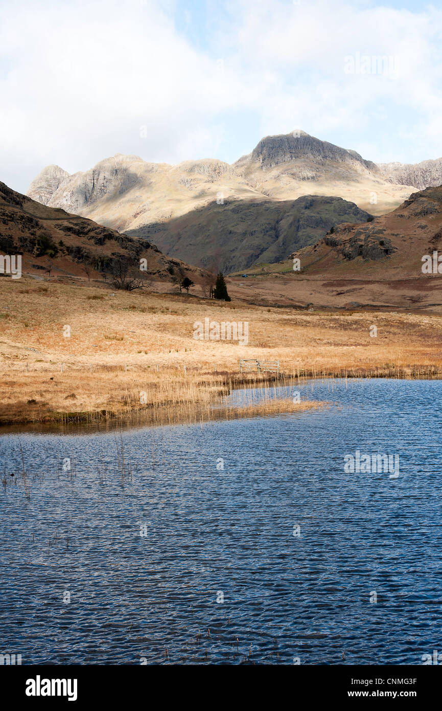Blea Tarn mit Blick in Richtung Langdale Pikes und Valley Lake District ...