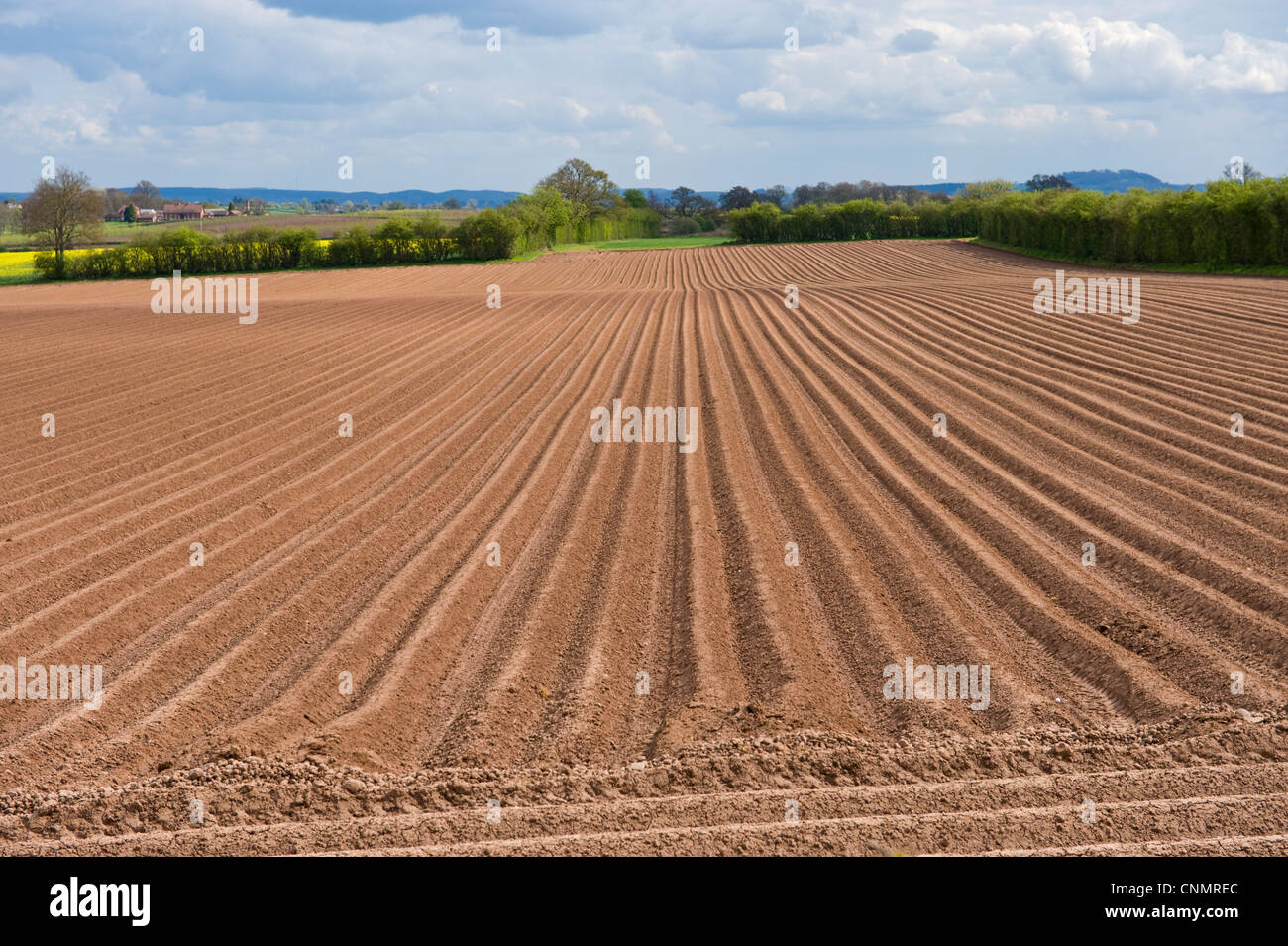 englische Landschaft Blick über Acker auf Ackerland in der Nähe von ...