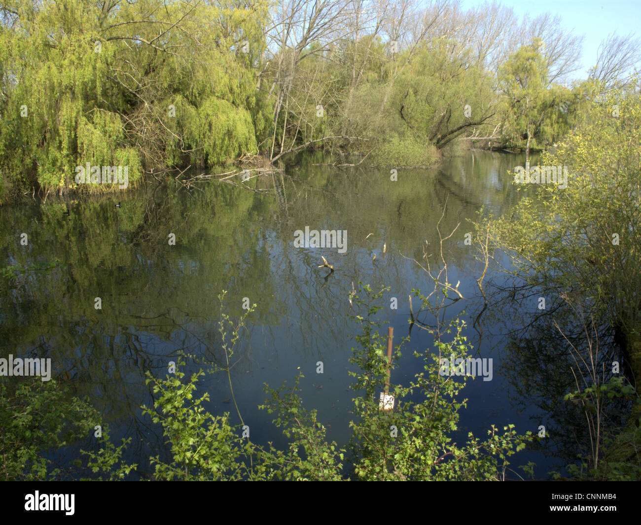 Stillgelegten überflutet Kies Grube Lebensraum Heronry Süden Pool ...
