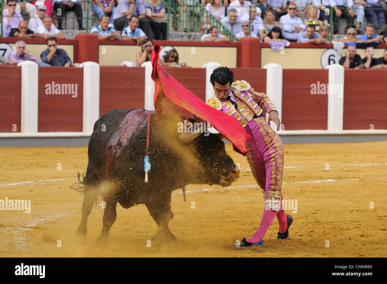 Tercio de banderillas -Fotos und -Bildmaterial in hoher Auflösung – Alamy