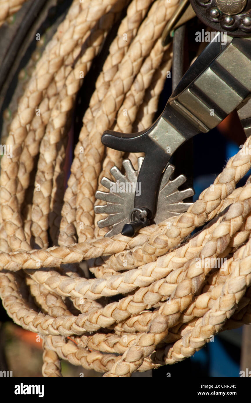 Lasso rope -Fotos und -Bildmaterial in hoher Auflösung – Alamy