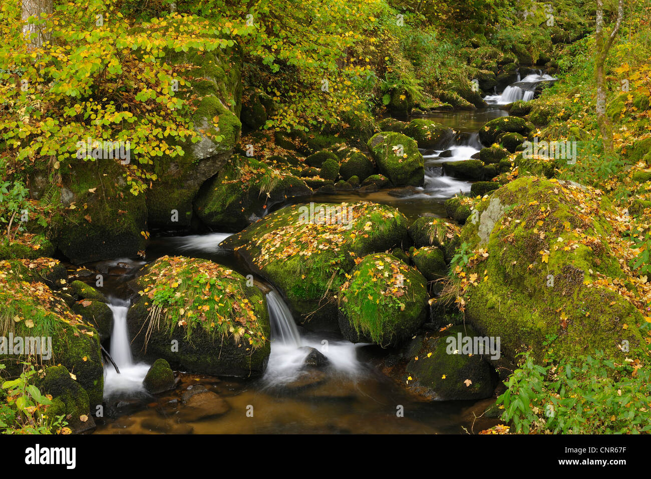 Triberg Im Schwarzwald Stockfotos und -bilder Kaufen - Alamy