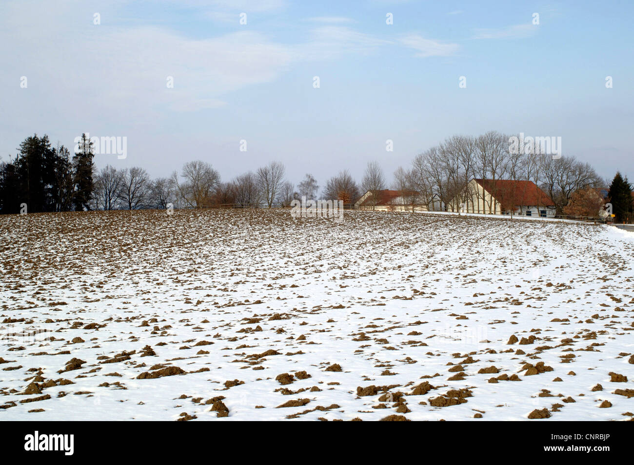 Feld mit Schnee vor von einem Bauernhaus, Deutschland, Bayern ...