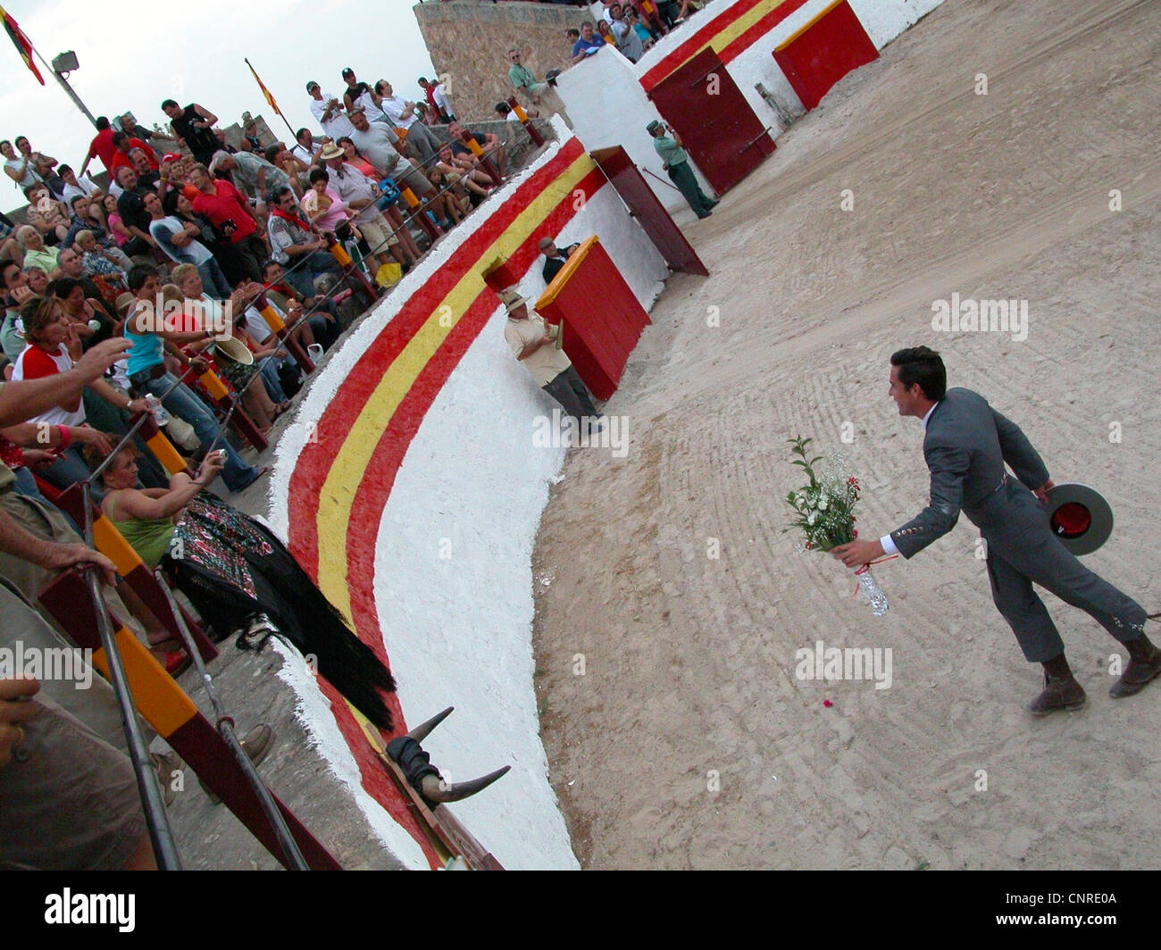 Stierkampf in der Stierkampfarena von Alcudia, Spanien, Balearen ...