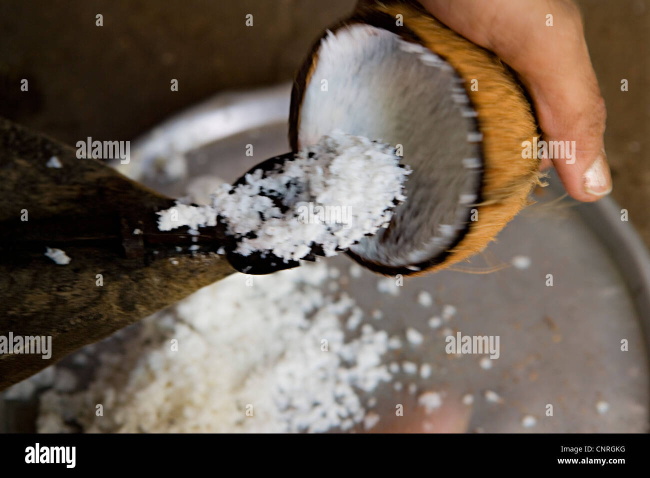 Frische Kokosnuss Raspeln Stockfotografie - Alamy
