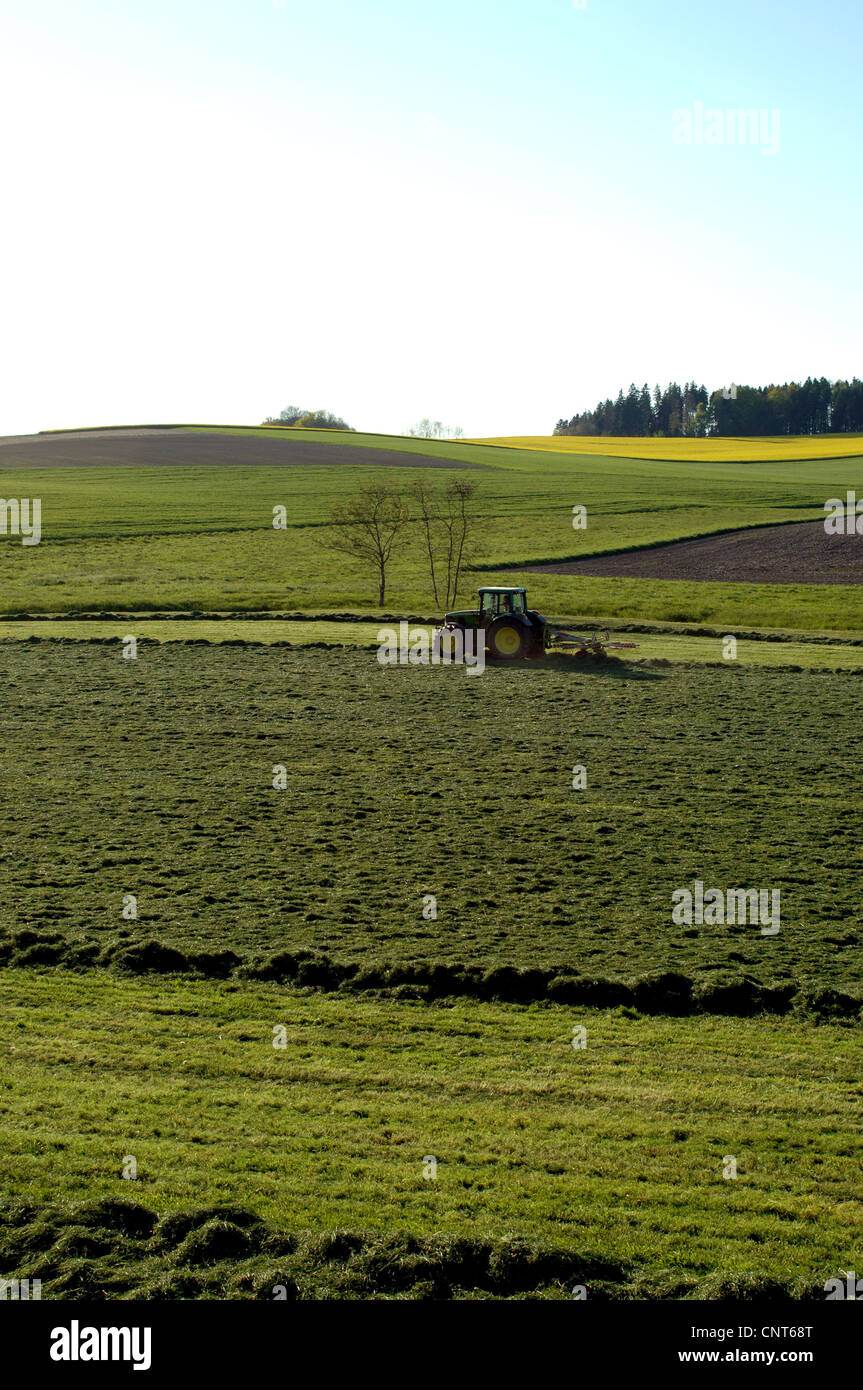 Traktor mit rotary Tedder, arbeiten auf einer Wiese, Deutschland ...