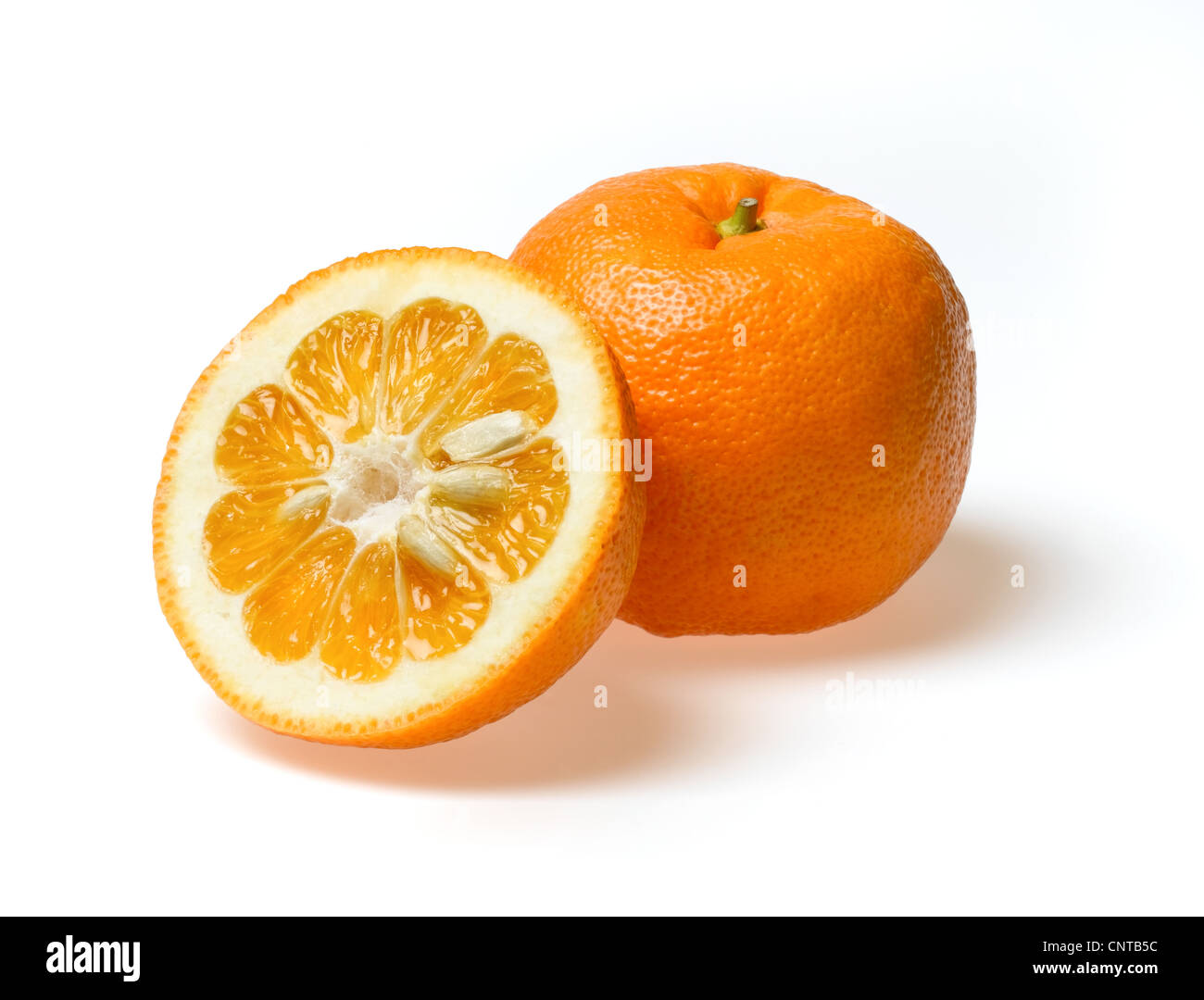Apfelsinen oranges -Fotos und -Bildmaterial in hoher Auflösung – Alamy