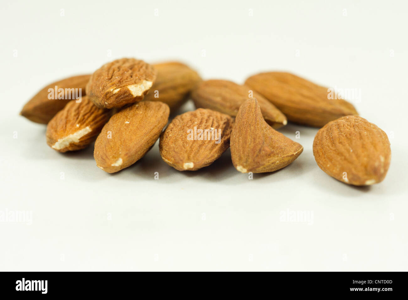 Syn prunus amygdalus batsch -Fotos und -Bildmaterial in hoher Auflösung ...