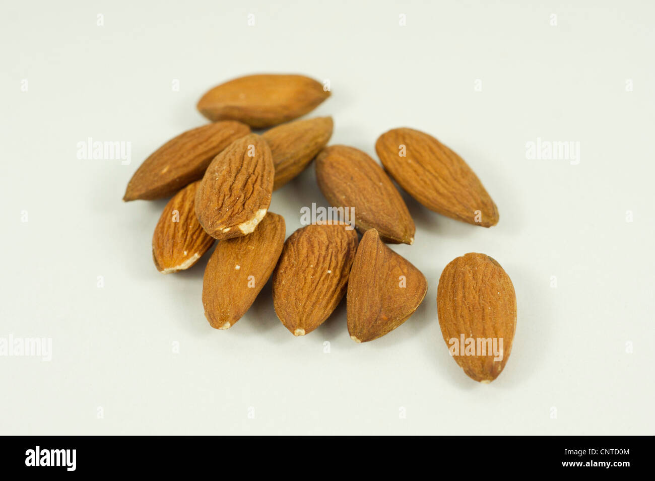 Syn symbol -Fotos und -Bildmaterial in hoher Auflösung – Alamy