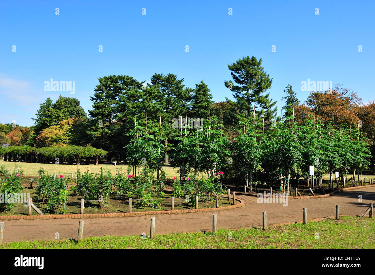Koen park -Fotos und -Bildmaterial in hoher Auflösung – Alamy