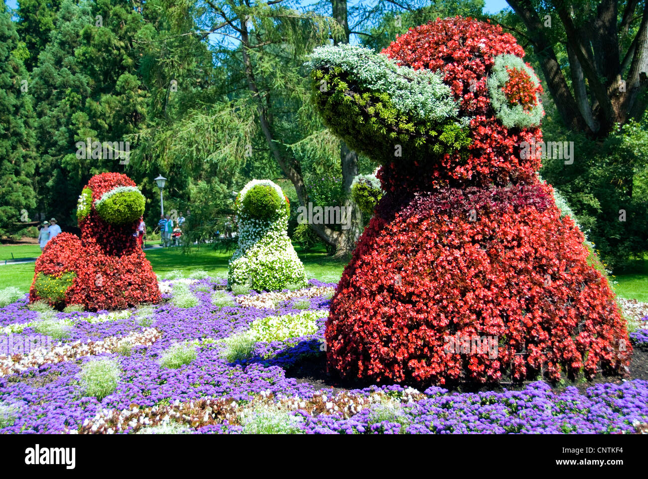 Mainau Insel, Deutschland, Baden-Württemberg, Mainau Stockfotografie ...