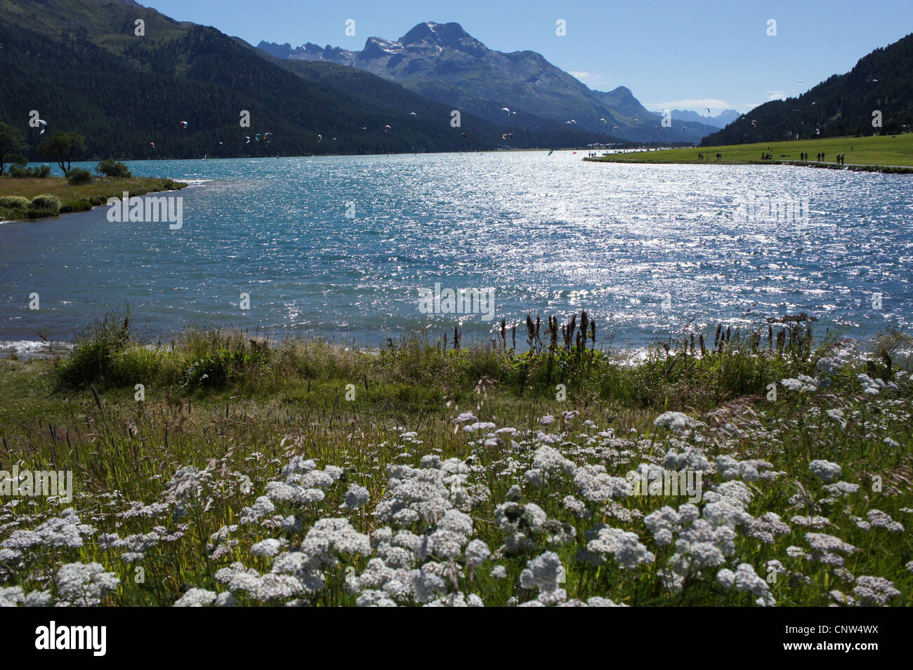 Lake silsersee -Fotos und -Bildmaterial in hoher Auflösung – Alamy