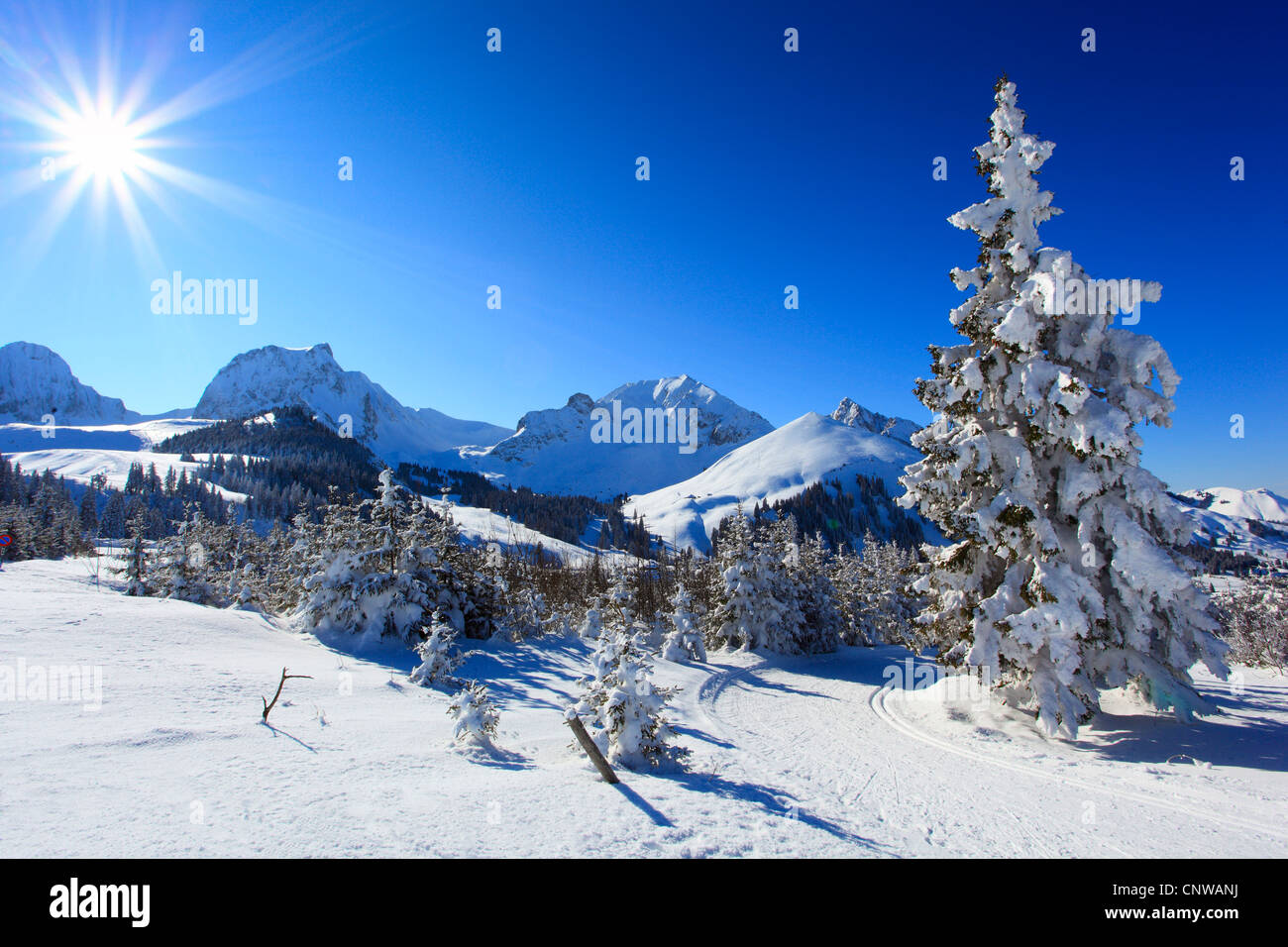 Nenenen 2101 m -Fotos und -Bildmaterial in hoher Auflösung – Alamy