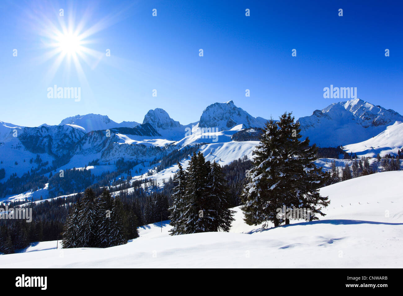 Nenenen 2101 m -Fotos und -Bildmaterial in hoher Auflösung – Alamy