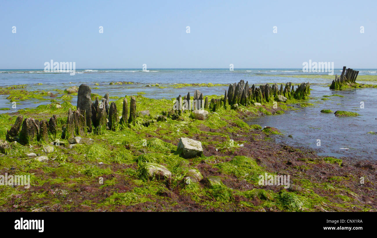 Dahme germany -Fotos und -Bildmaterial in hoher Auflösung – Alamy