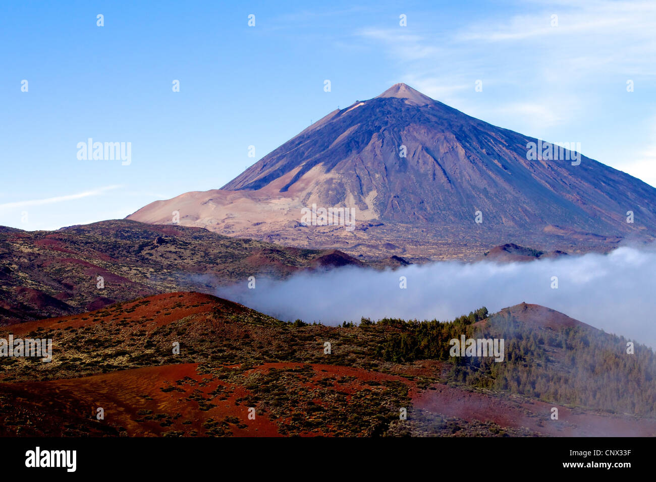 Teneriffa a -Fotos und -Bildmaterial in hoher Auflösung – Alamy