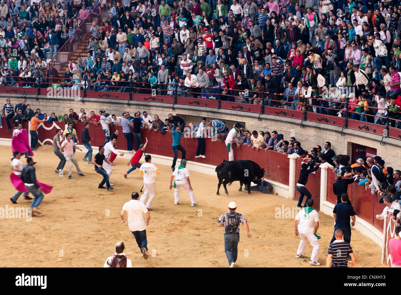 Verwundeter matador -Fotos und -Bildmaterial in hoher Auflösung – Alamy