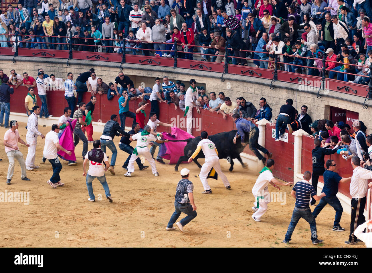 Verwundeter matador -Fotos und -Bildmaterial in hoher Auflösung – Alamy