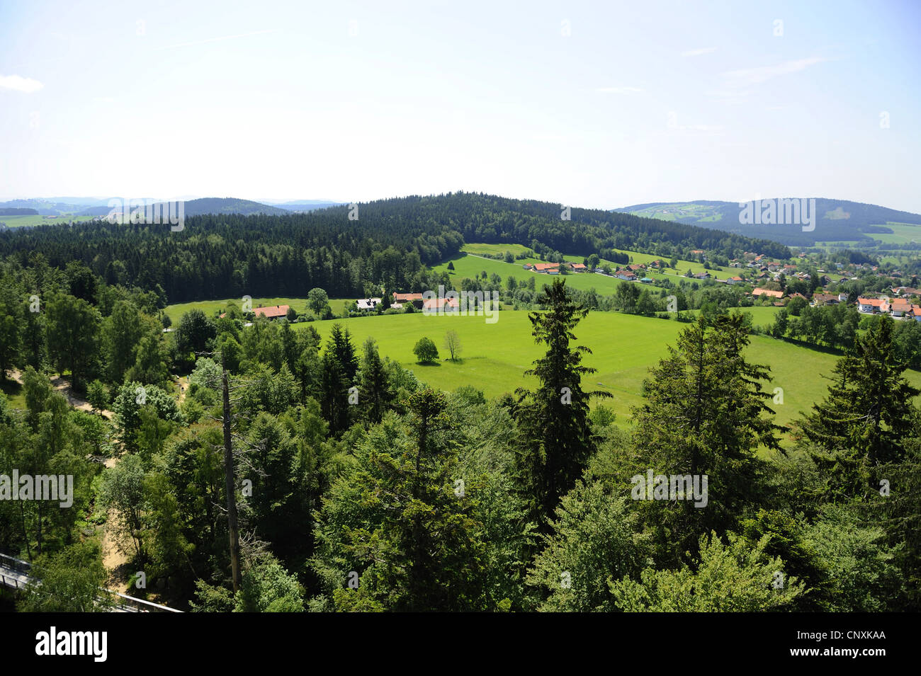 Landschaft im Bayerischen Wald, Europa, Deutschland, Bayern ...