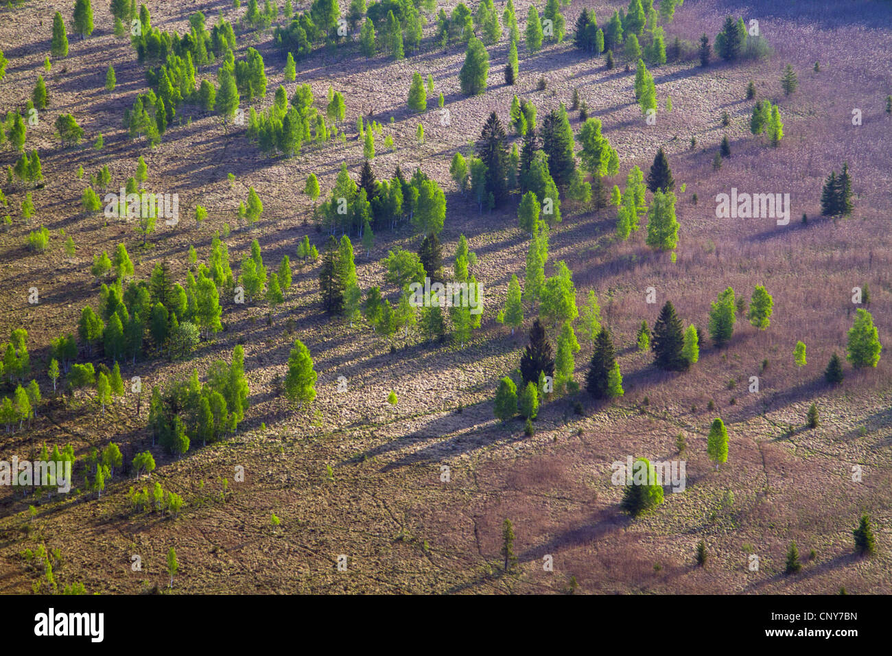 Murnauer Moos, Deutschland, Bayern Stockfotografie - Alamy