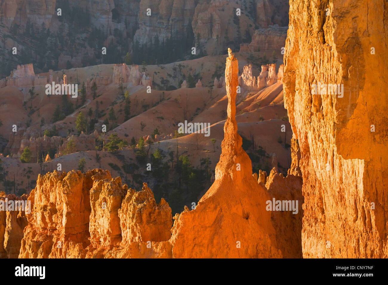 Hoodoo the sentinel -Fotos und -Bildmaterial in hoher Auflösung – Alamy