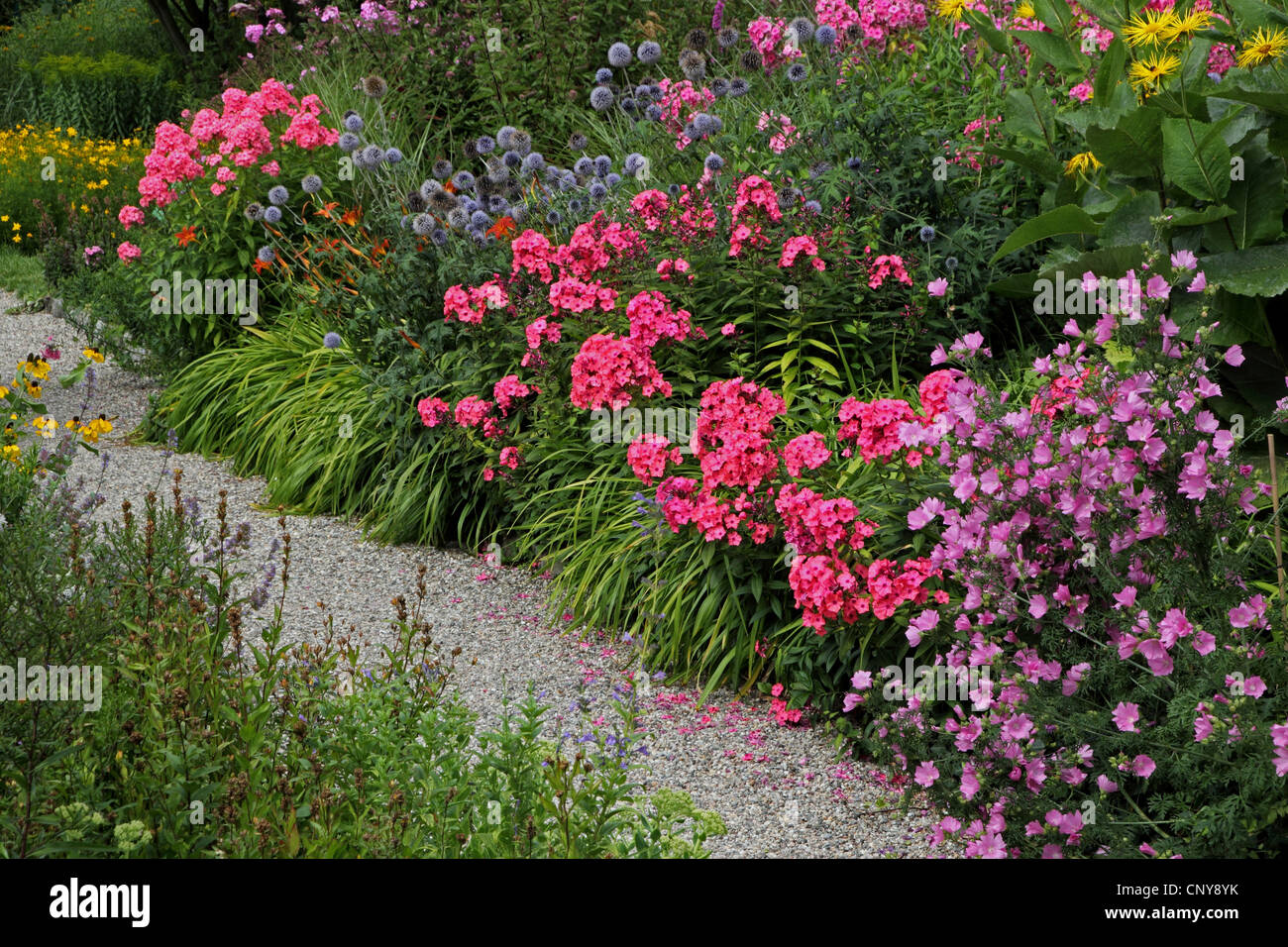 Blaue blumen im garten -Fotos und -Bildmaterial in hoher Auflösung – Alamy
