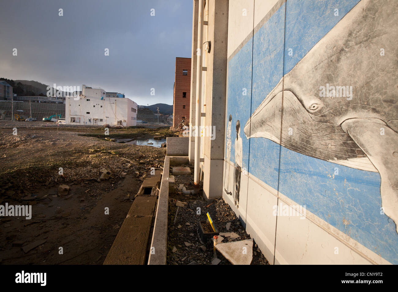 Verwüstungen durch das Erdbeben und Tsunami vom 11. März 2001 im ...
