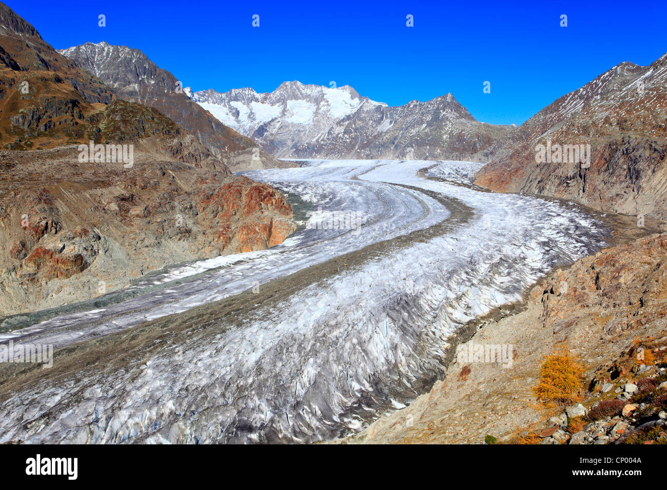 Großen Aletschgletscher, der größte Gletscher in den Alpen und der ...