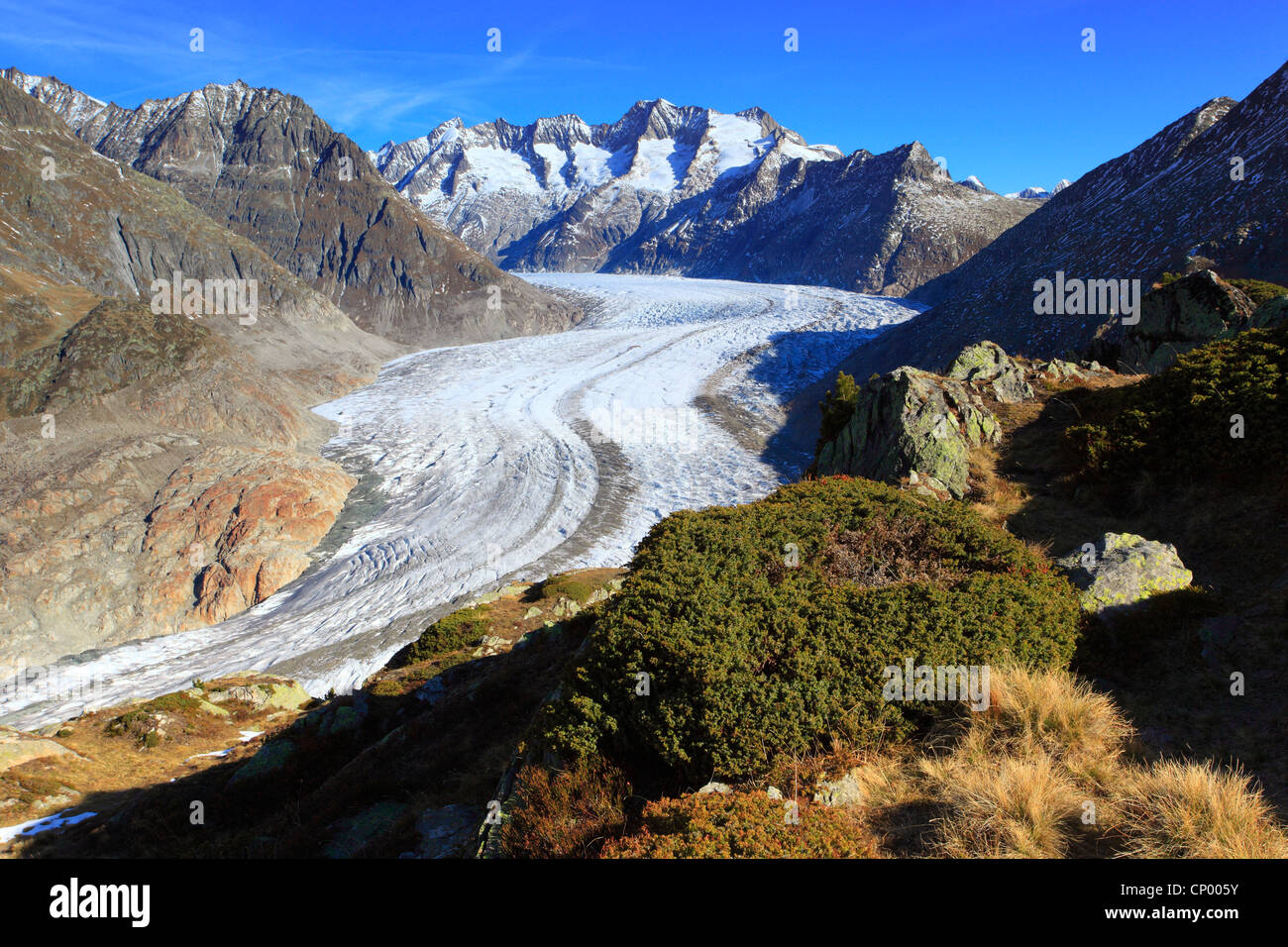 Großen Aletschgletscher, der größte Gletscher in den Alpen und der ...