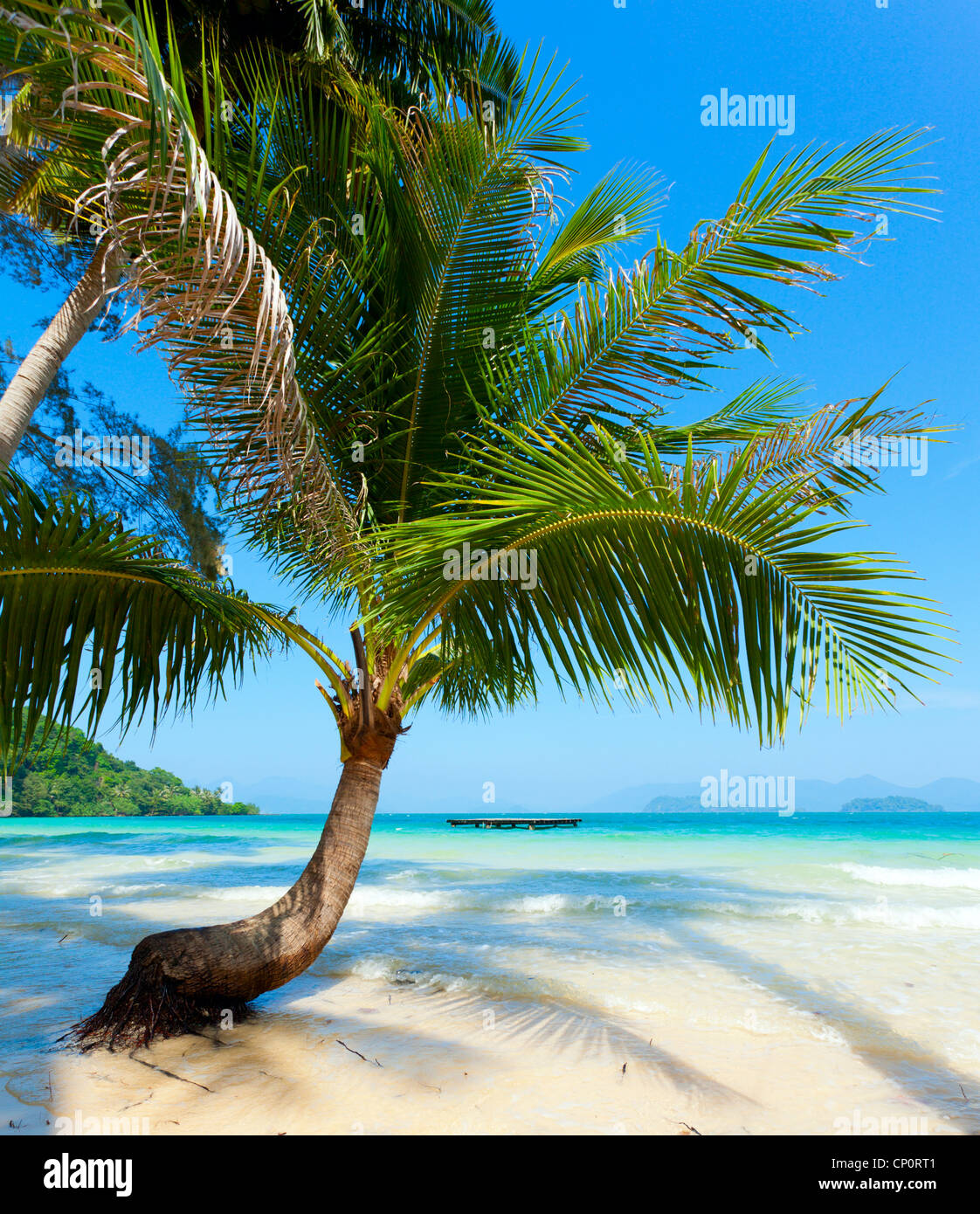 Palm tree beach -Fotos und -Bildmaterial in hoher Auflösung – Alamy