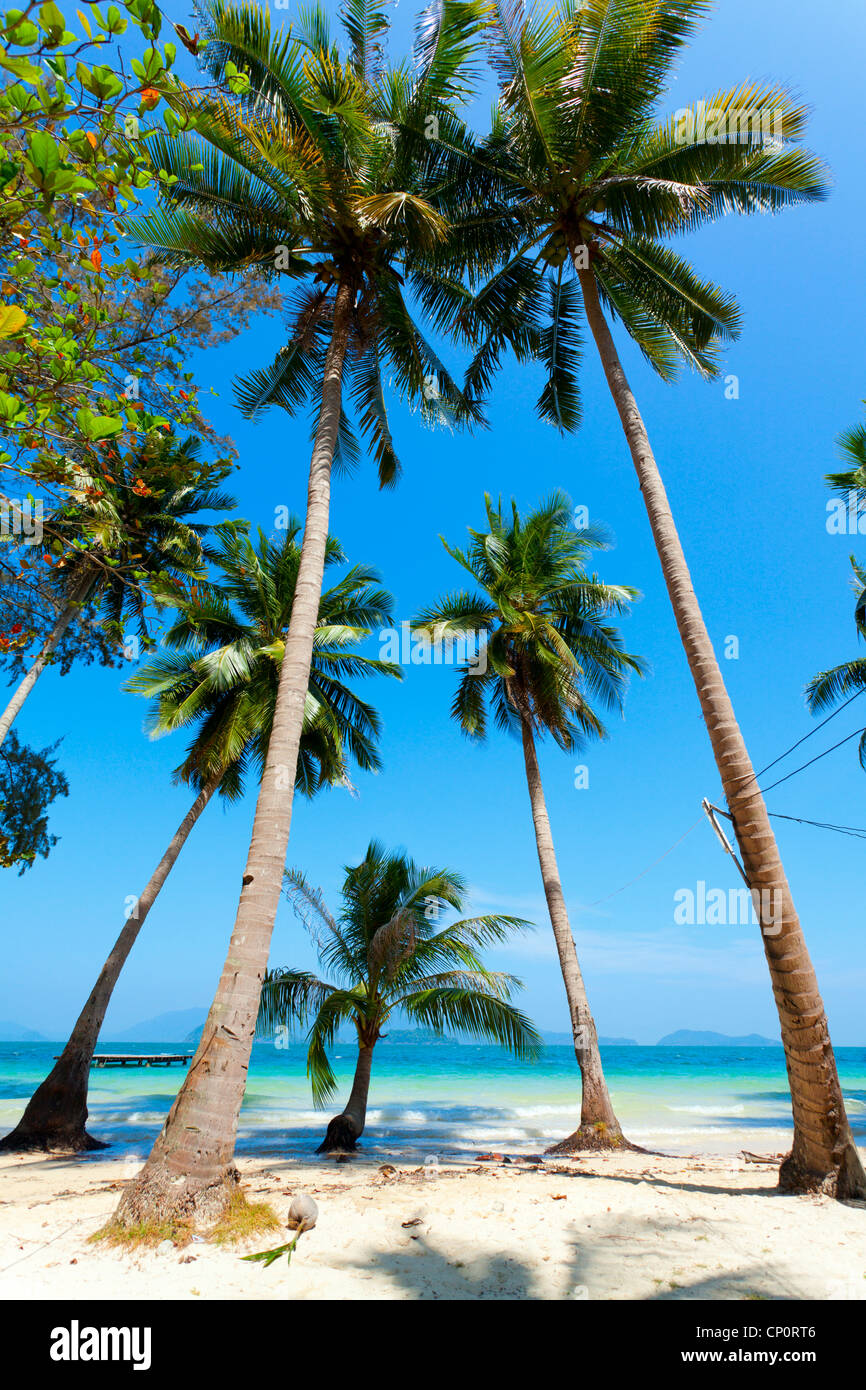 Palmen strand meer -Fotos und -Bildmaterial in hoher Auflösung – Alamy