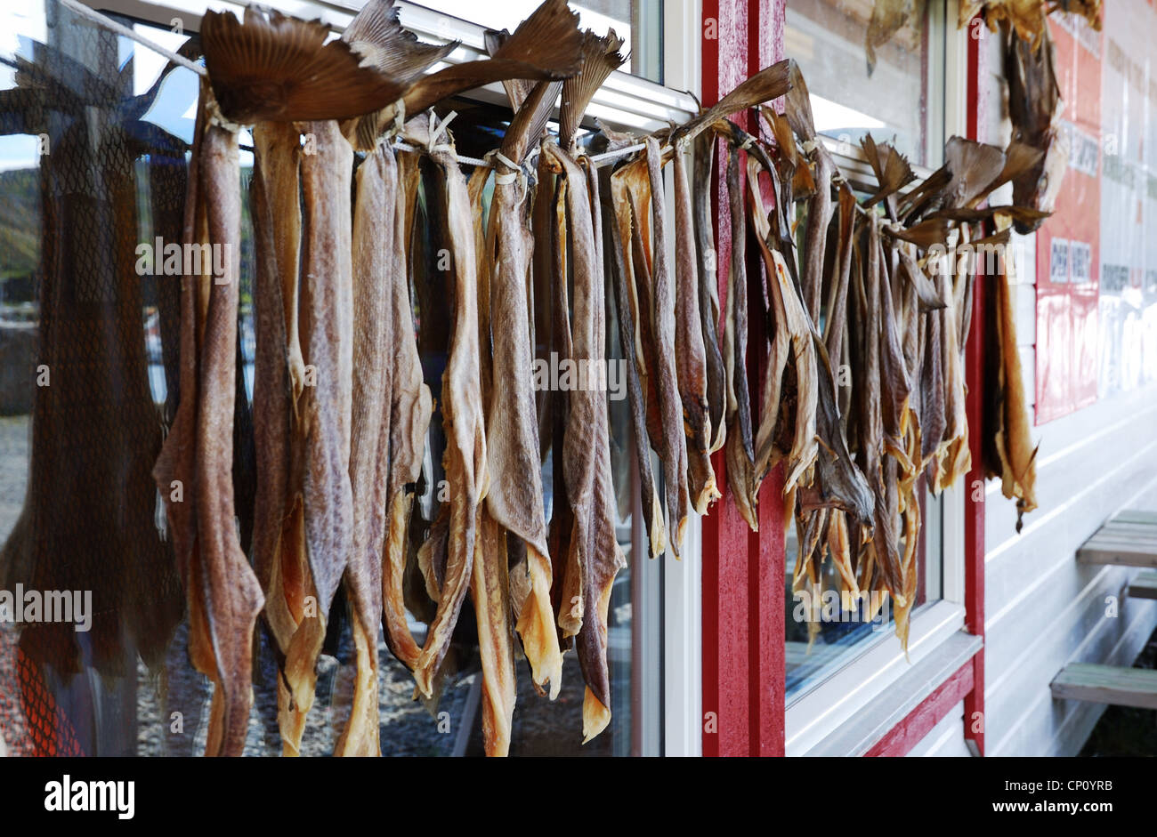 Getrockneter stockfisch -Fotos und -Bildmaterial in hoher Auflösung – Alamy
