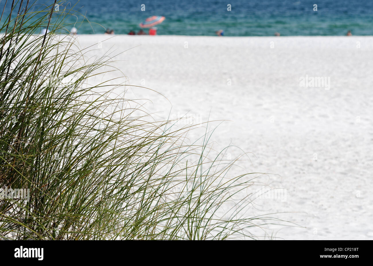 Alabama strand -Fotos und -Bildmaterial in hoher Auflösung – Alamy