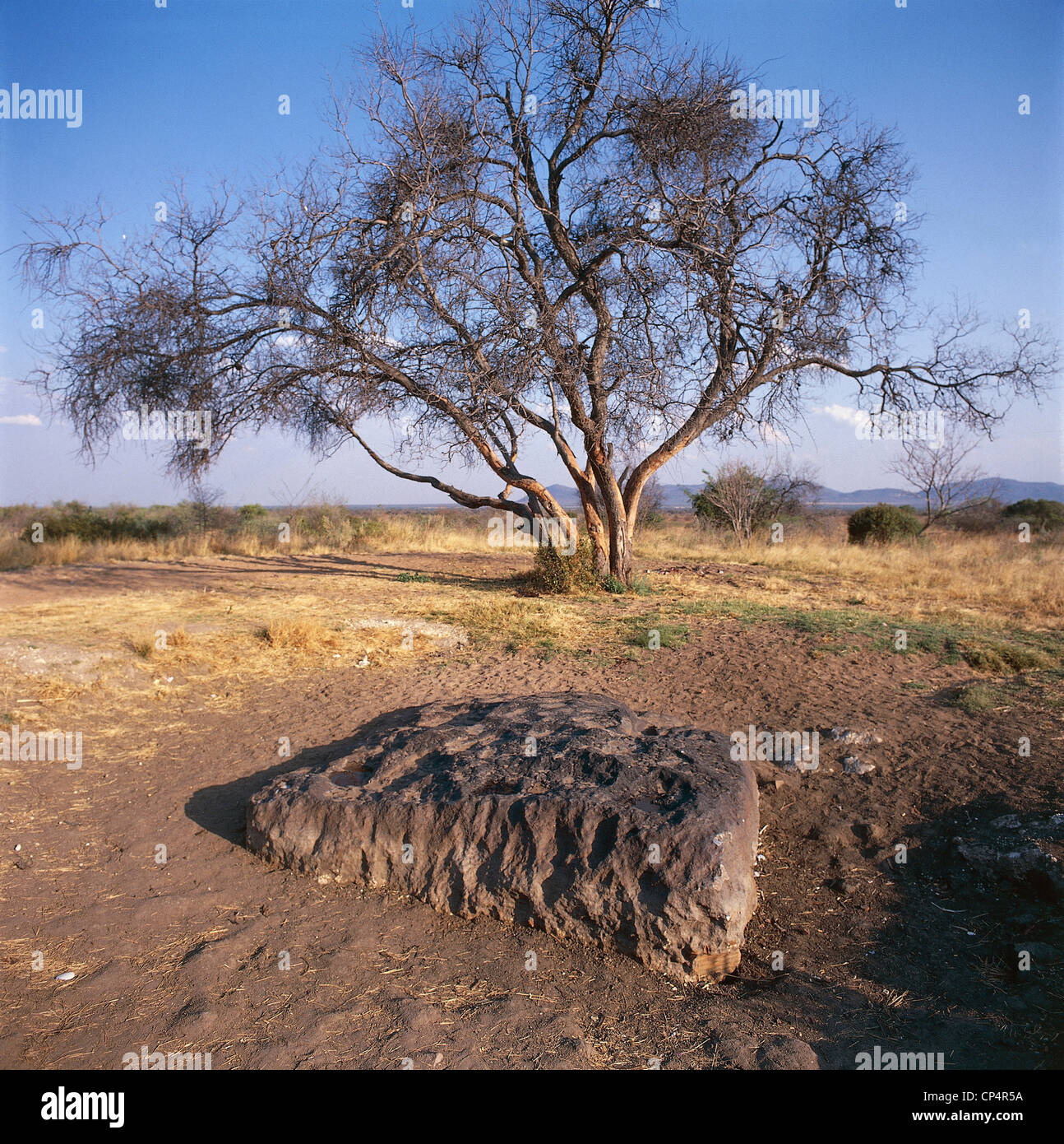Namibia - Otjozondjupa - Grootfontein (große Quelle). Der Hoba Meteorit ...
