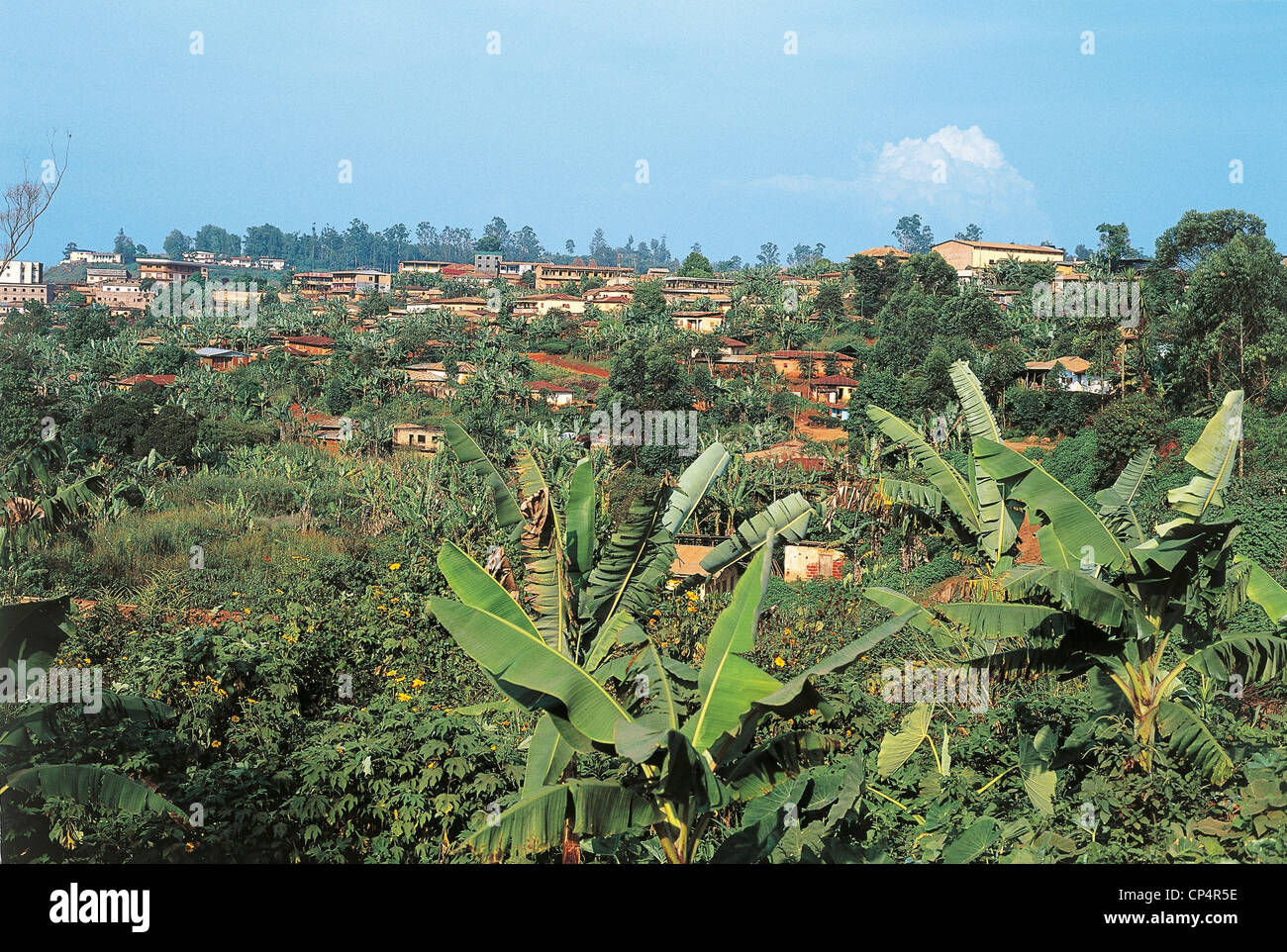 Bamileke region -Fotos und -Bildmaterial in hoher Auflösung – Alamy