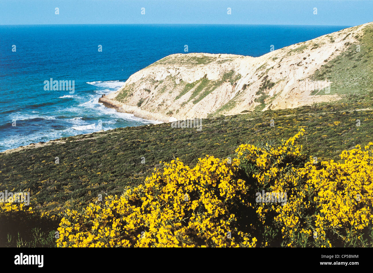 Kappe bianco -Fotos und -Bildmaterial in hoher Auflösung – Alamy