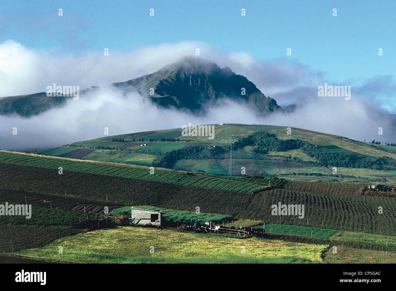 Ecuador - Anden Landschaft entlang der Panamericana Sur Stockfotografie ...