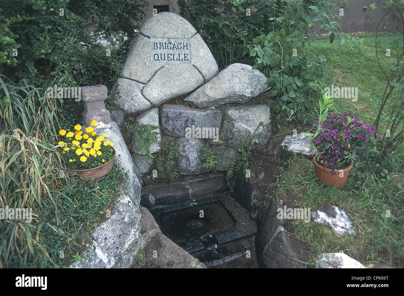 Deutschland Baden-Württemberg - die Quelle des Flusses Brigach, die ...