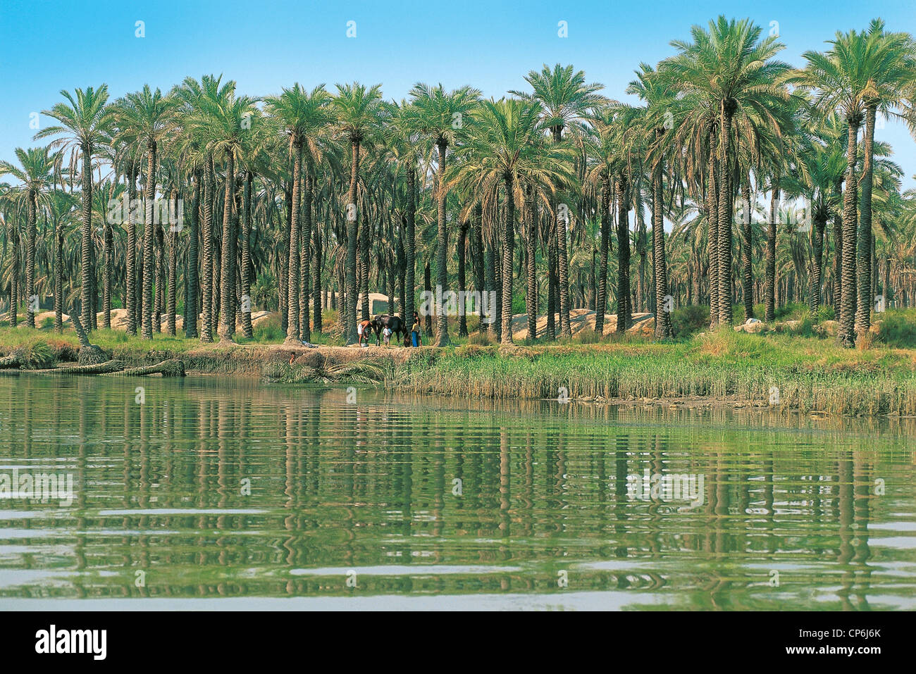 Irak - Basra. Der Shatt Al Arab-Fluss Stockfotografie - Alamy