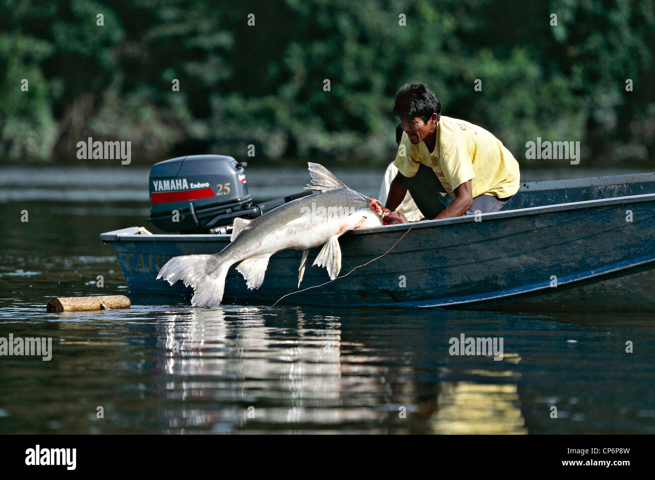 Casiquiare kanal -Fotos und -Bildmaterial in hoher Auflösung – Alamy
