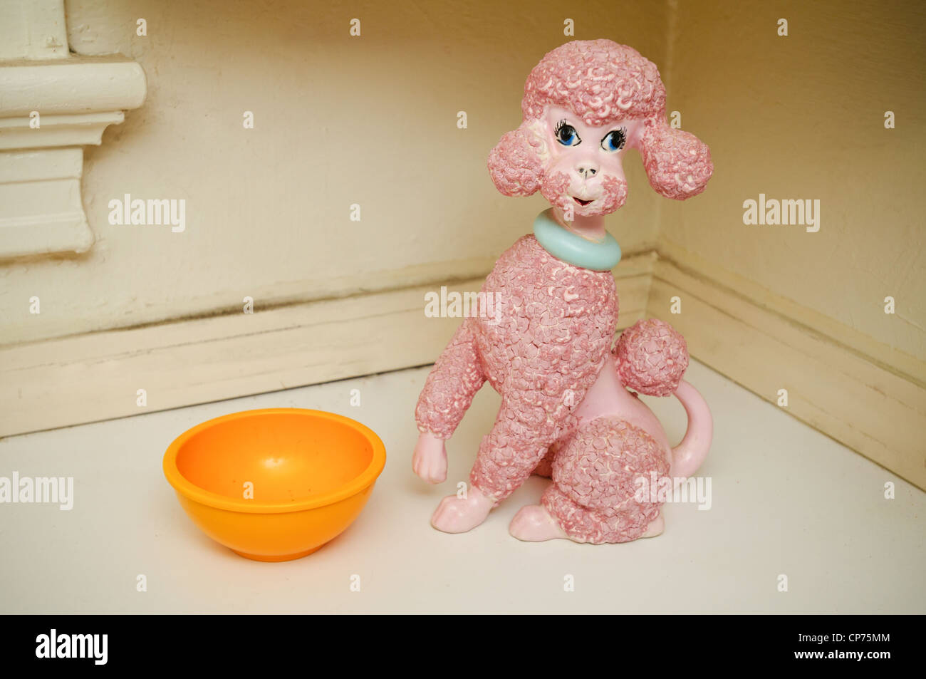 Gelber pudel -Fotos und -Bildmaterial in hoher Auflösung – Alamy