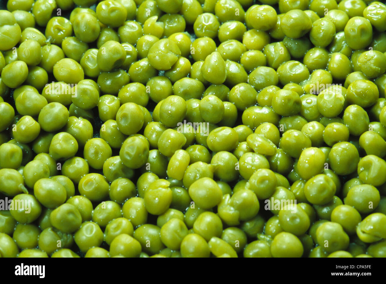 Grüne Erbsen hautnah Stockfotografie - Alamy