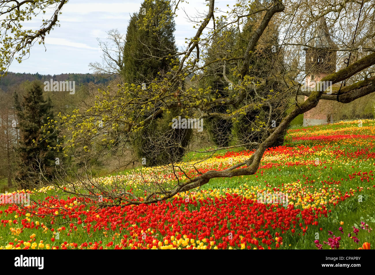 Insel mainau blumen -Fotos und -Bildmaterial in hoher Auflösung – Alamy